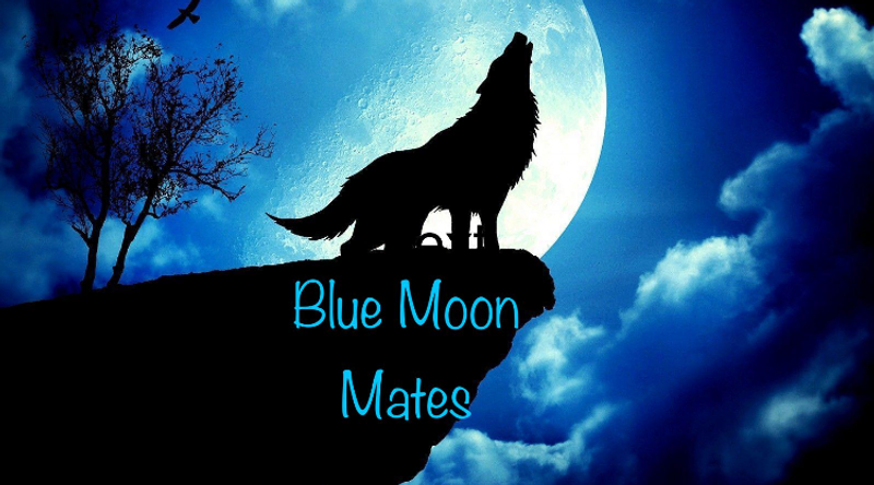 Blue Moon Mates by Riddering Lindsay