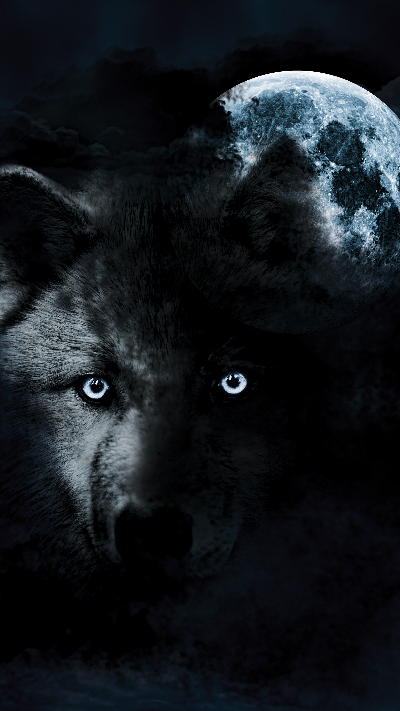 Radish | Arctic Wolves by Tigris Eden